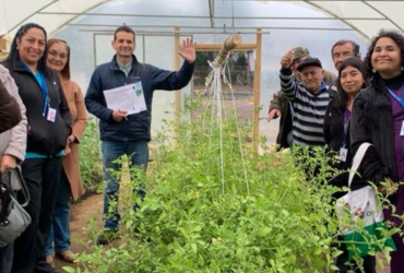 Inicio - Huertas Comunitarias